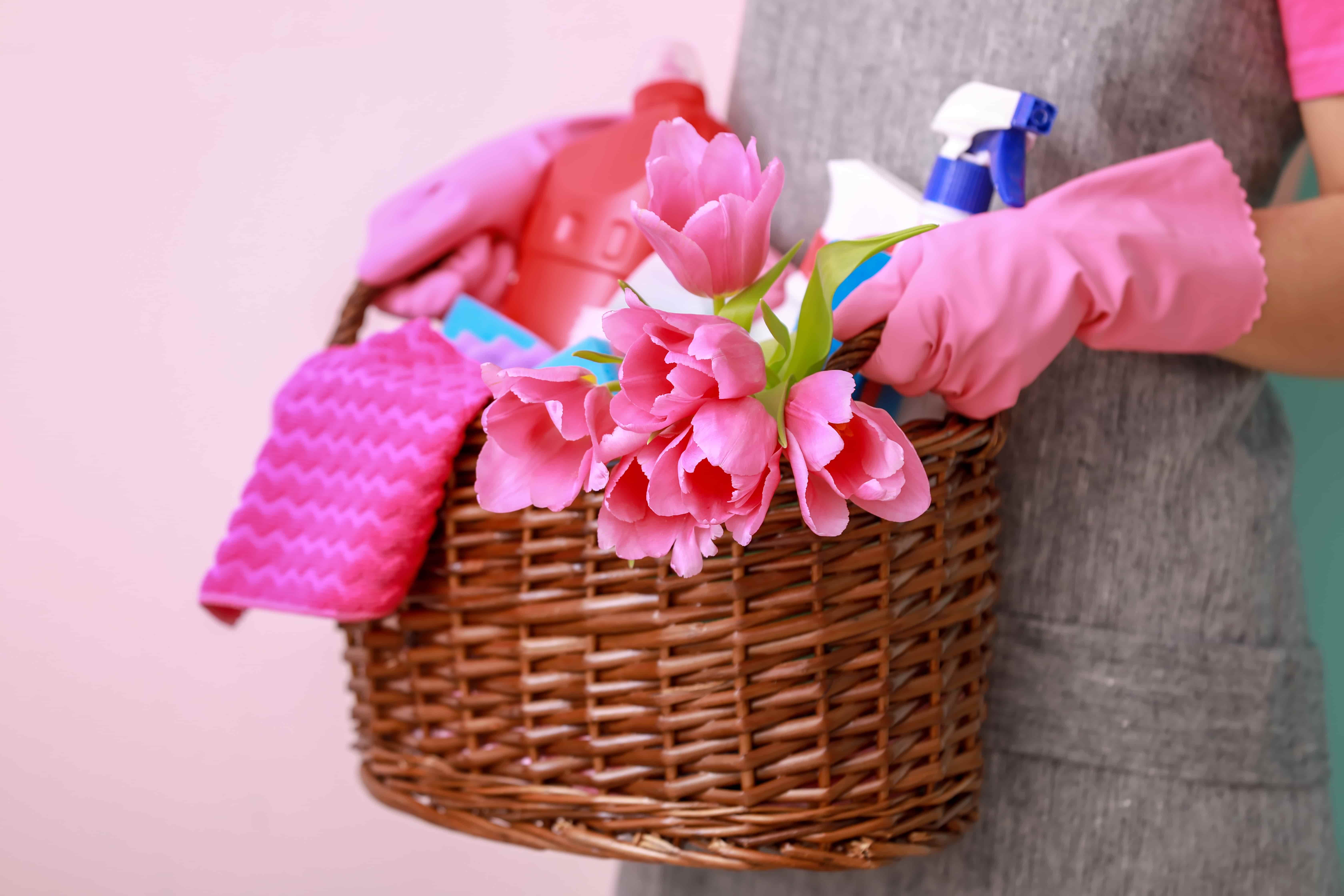 The Best Cleaning Services in Daphne: How to Find Them? | Blog