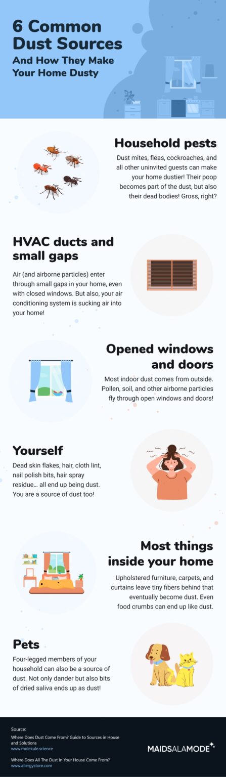 6 Common Dust Sources And How They Make Your Home Dusty | Blog